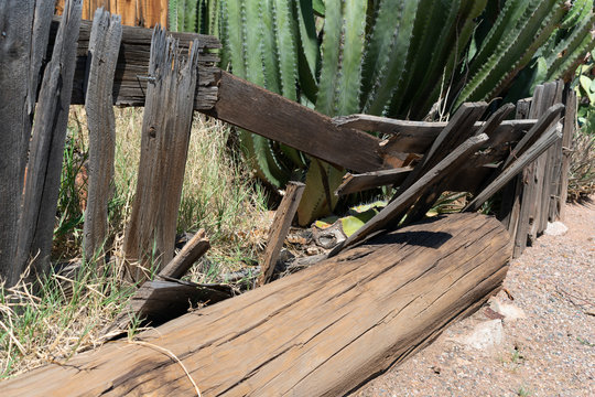 LeiLani photos, images, assets | Adobe Stock