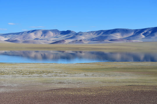 「Yakra」の写真素材 | 103件の無料イラスト画像 | Adobe Stock