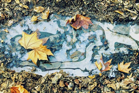 Montevecchia Bilder – Durchsuchen 551 Archivfotos, Vektorgrafiken und ...