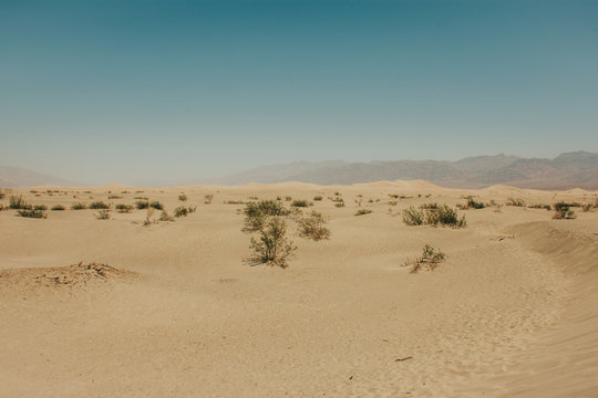 Tatooine Images – Browse 629 Stock Photos, Vectors, and Video | Adobe Stock