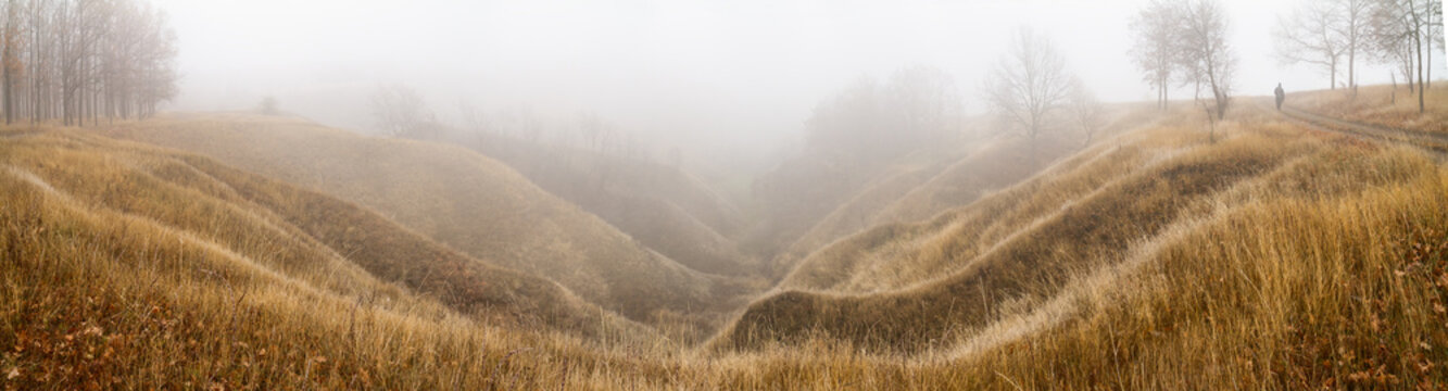 รูปภาพSpurs – เลือกดูภาพถ่ายสต็อก เวกเตอร์ และวิดีโอ40,471 | Adobe Stock