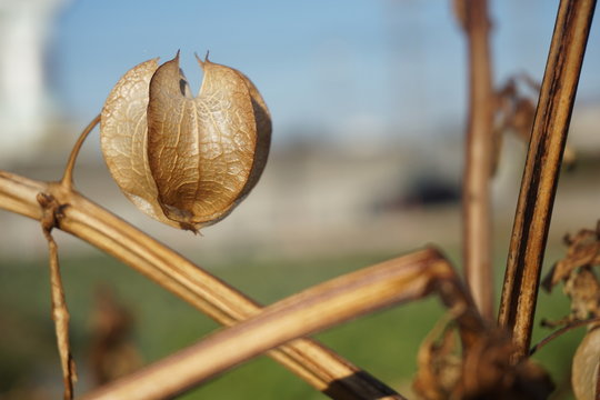 10,709 IMAGES, PHOTOS ET ILLUSTRATIONS VECTORIELLES STOCK APPROPRIÉES ...