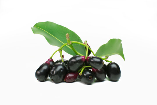 Jamun Fruit Wallpaper