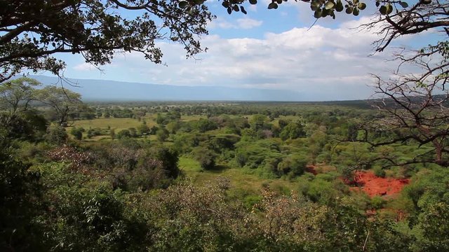 Green Africa Images – Browse 423,965 Stock Photos, Vectors, and Video ...