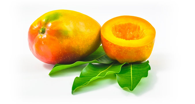 รูปภาพMangues – เลือกดูภาพถ่ายสต็อก เวกเตอร์ และวิดีโอ745 | Adobe Stock