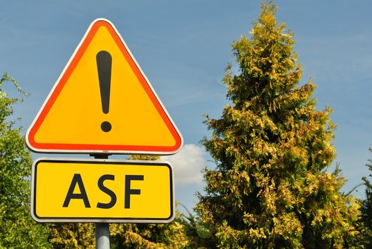 Asf Images – Browse 579 Stock Photos, Vectors, and Video | Adobe Stock