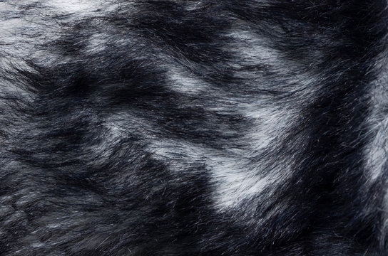 Black Wolf Fur Texture