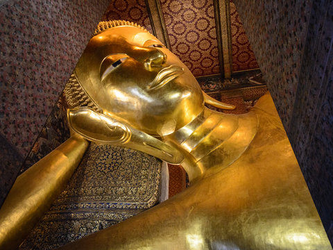 รูปภาพOtera – เลือกดูภาพถ่ายสต็อก เวกเตอร์ และวิดีโอ1,055 | Adobe Stock