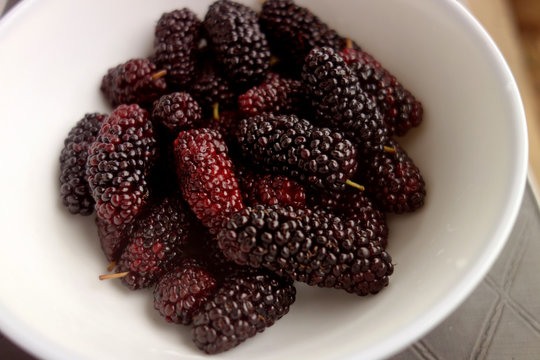 桑 Images – Browse 948 Stock Photos, Vectors, and Video | Adobe Stock