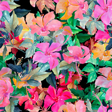 Biscus bilder – Bläddra bland 5 stockfoton, vektorer och videor | Adobe ...