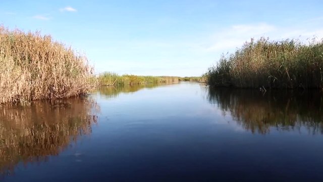 Quando Bilder – Durchsuchen 228 Archivfotos, Vektorgrafiken und Videos ...