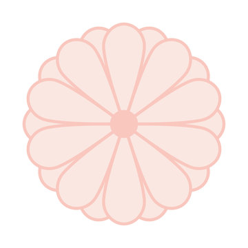 Kiku Bilder – Durchsuchen 582 Archivfotos, Vektorgrafiken und Videos ...