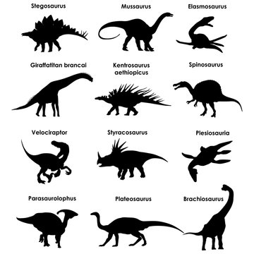 "Dinosaur Shadow" Images – Browse 64 Stock Photos, Vectors, and Video ...