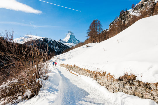 Arvenholz Bilder – Durchsuchen 1,016 Archivfotos, Vektorgrafiken und ...