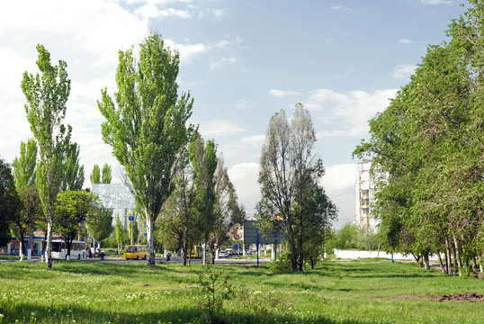 Grygorii photos, images, assets | Adobe Stock