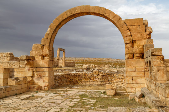 「Haidra」の画像 - 34 件の Stock 写真、ベクターおよびビデオ | Adobe Stock