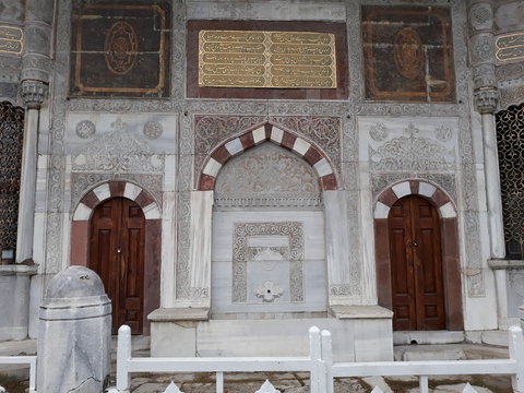 Camiler Images – Browse 54 Stock Photos, Vectors, and Video | Adobe Stock