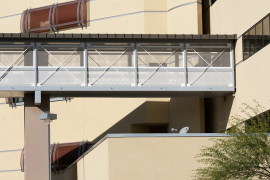 LeiLani photos, images, assets | Adobe Stock