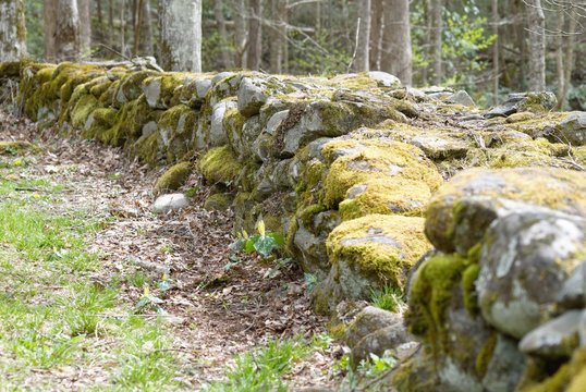 Ralph Petty photos, images, assets | Adobe Stock