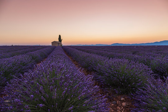 Manosque Images – Browse 693 Stock Photos, Vectors, and Video | Adobe Stock