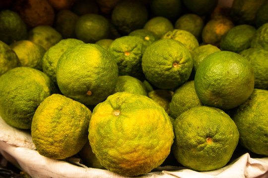 Agria-Bilder: Stock-Fotos & -Videos. | Adobe Stock