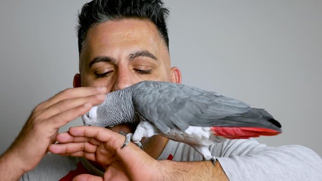 Man With Parrot Images – Browse 4,722 Stock Photos, Vectors, and Video ...