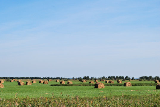 "Hay Field" Images – Browse 9,888 Stock Photos, Vectors, and Video ...
