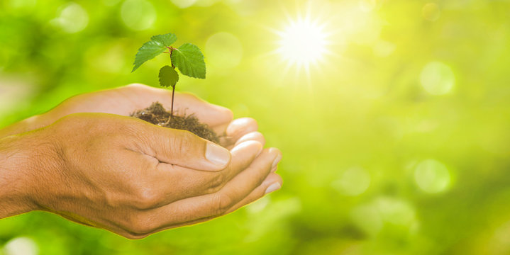 Imágenes de Planze: descubre bancos de fotos, ilustraciones, vectores y ...