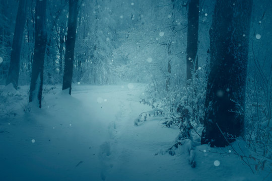 "Footprints In Snow" Images – Browse 504 Stock Photos, Vectors, and ...