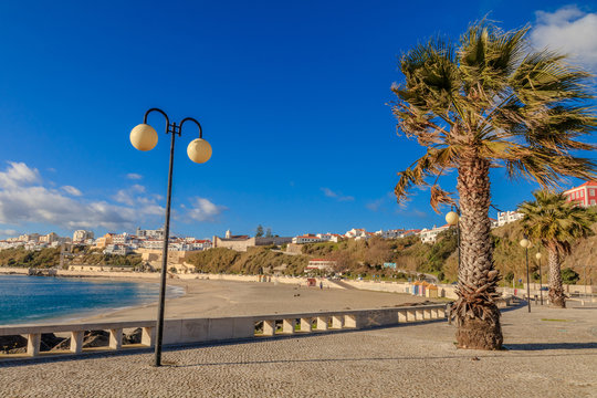 รูปภาพAvistar – เลือกดูภาพถ่ายสต็อก เวกเตอร์ และวิดีโอ237 | Adobe Stock