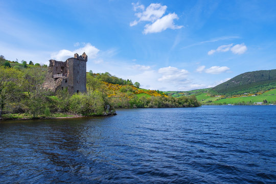 Schot Images – Browse 44 Stock Photos, Vectors, and Video | Adobe Stock