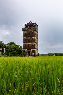 Zili Images – Browse 51 Stock Photos, Vectors, and Video | Adobe Stock