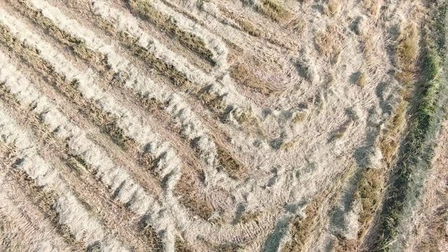 Berm Images – Browse 1,775 Stock Photos, Vectors, and Video | Adobe Stock