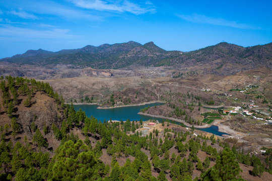 Chira Images – Browse 4 Stock Photos, Vectors, and Video | Adobe Stock