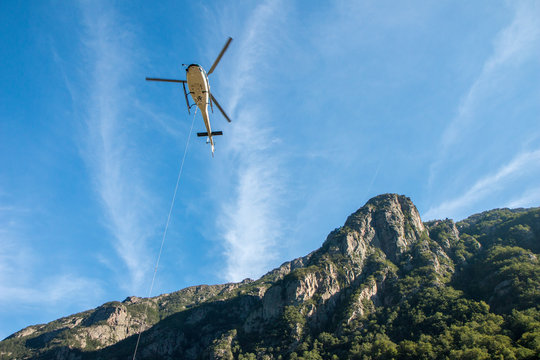 Helico Images – Browse 133 Stock Photos, Vectors, and Video | Adobe Stock