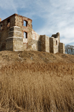 Runy Images – Browse 45 Stock Photos, Vectors, and Video | Adobe Stock