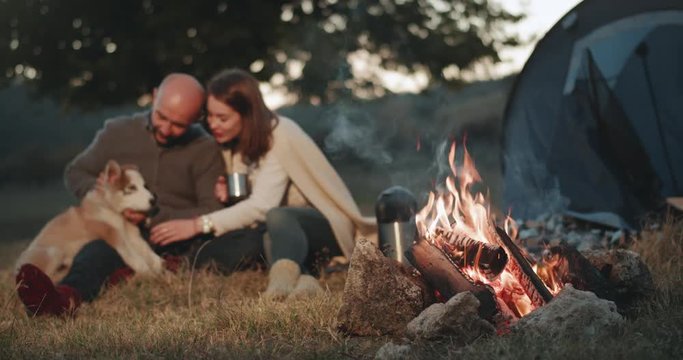 Campfire Dog Images – Browse 10,764 Stock Photos, Vectors, and Video ...