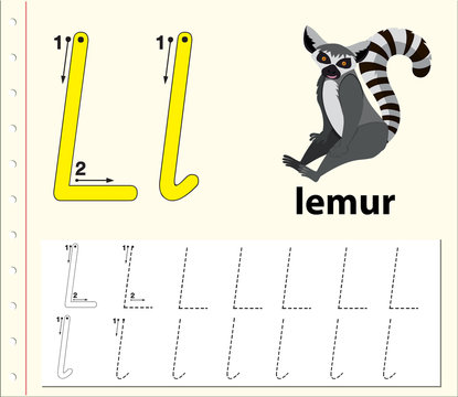 「Limur」の写真素材 | 80件の無料イラスト画像 | Adobe Stock