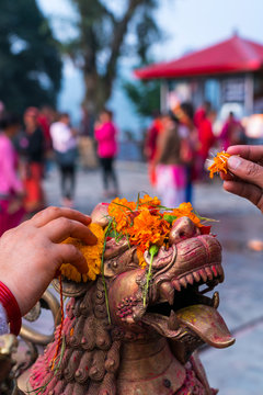 Basini bilder – Bläddra bland 13 stockfoton, vektorer och videor ...