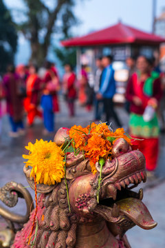 รูปภาพBasini – เลือกดูภาพถ่ายสต็อก เวกเตอร์ และวิดีโอ13 | Adobe Stock