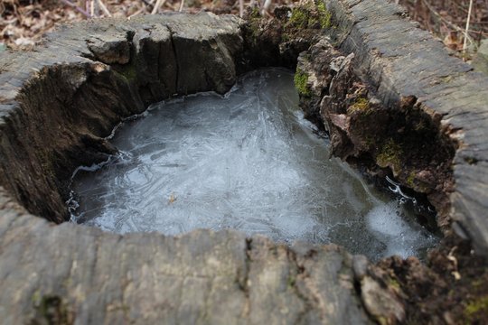 Strump Images – Browse 62 Stock Photos, Vectors, and Video | Adobe Stock