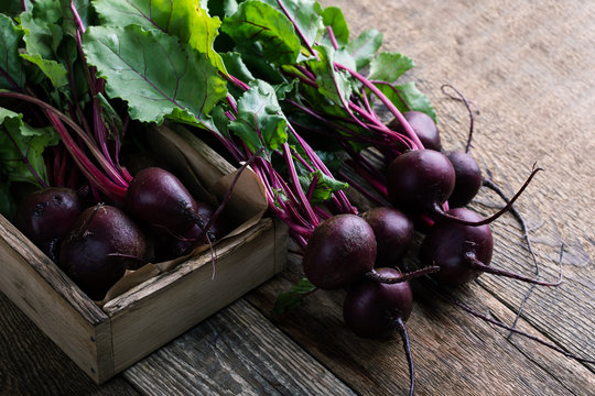 Haulm Bilder – Durchsuchen 8,106 Archivfotos, Vektorgrafiken und Videos ...