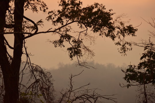 Dxk Images – Browse 80 Stock Photos, Vectors, and Video | Adobe Stock