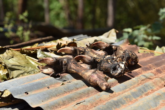 รูปภาพCarabeef – เลือกดูภาพถ่ายสต็อก เวกเตอร์ และวิดีโอ327 | Adobe Stock