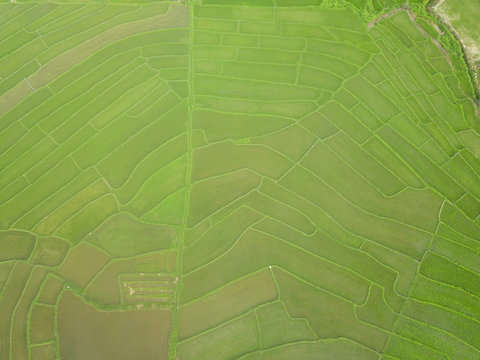 "Rice Field Drone" Images – Browse 28 Stock Photos, Vectors, and Video ...