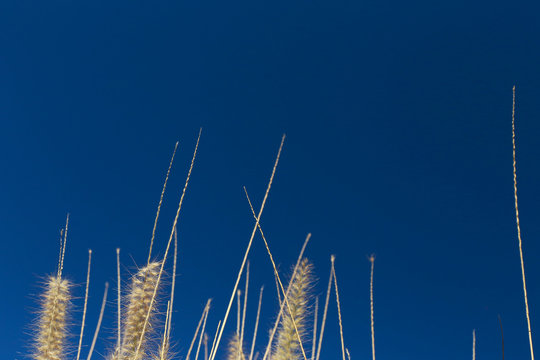 รูปภาพMatojo – เลือกดูภาพถ่ายสต็อก เวกเตอร์ และวิดีโอ163 | Adobe Stock