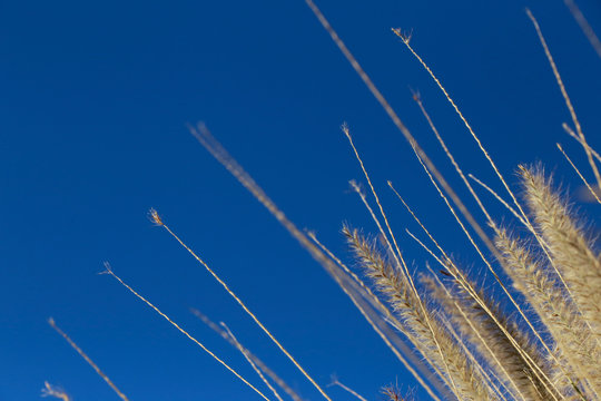 รูปภาพMatojo – เลือกดูภาพถ่ายสต็อก เวกเตอร์ และวิดีโอ159 | Adobe Stock