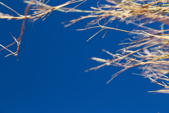 รูปภาพMatojo – เลือกดูภาพถ่ายสต็อก เวกเตอร์ และวิดีโอ163 | Adobe Stock