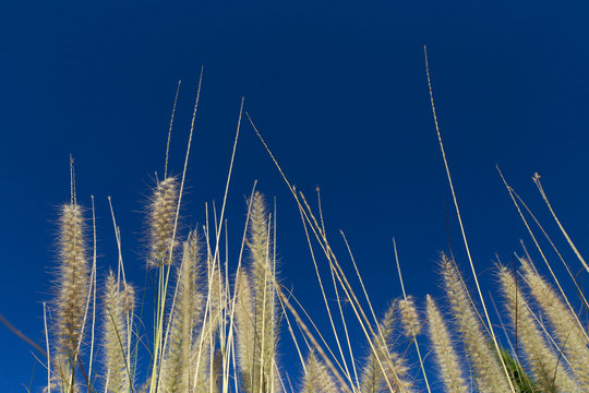 รูปภาพMatojo – เลือกดูภาพถ่ายสต็อก เวกเตอร์ และวิดีโอ163 | Adobe Stock