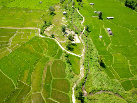 "Rice Field Drone" Images – Browse 28 Stock Photos, Vectors, and Video ...